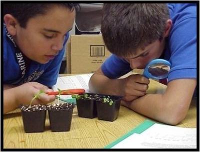 Students learn environmental stewardship, improve science scores | (e ...