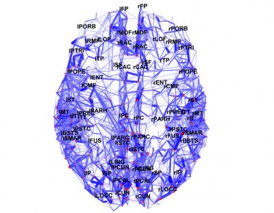 New map IDs the core of the human brain | (e) Science News