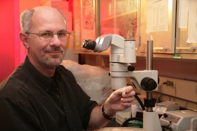 Yes, ecology shapes evolution, but guppies show reverse also true | (e ...