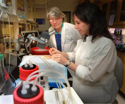 Early life stress may predict cardiovascular disease | (e) Science News