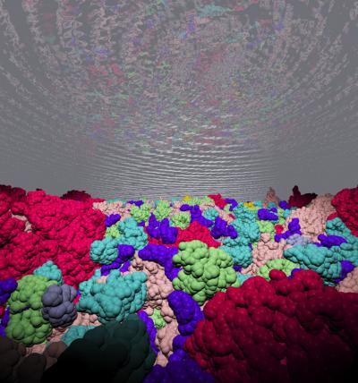 Modeling shows that factors beyond crowding affect how molecules ...