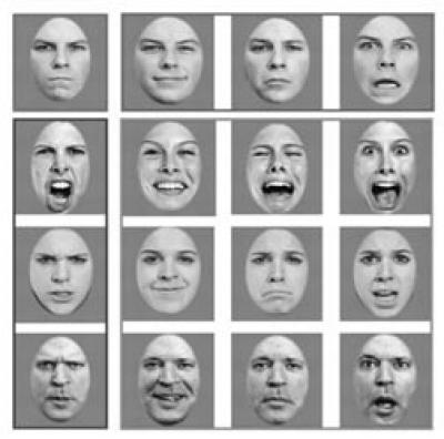 Research shows that some features of human face perception are not ...