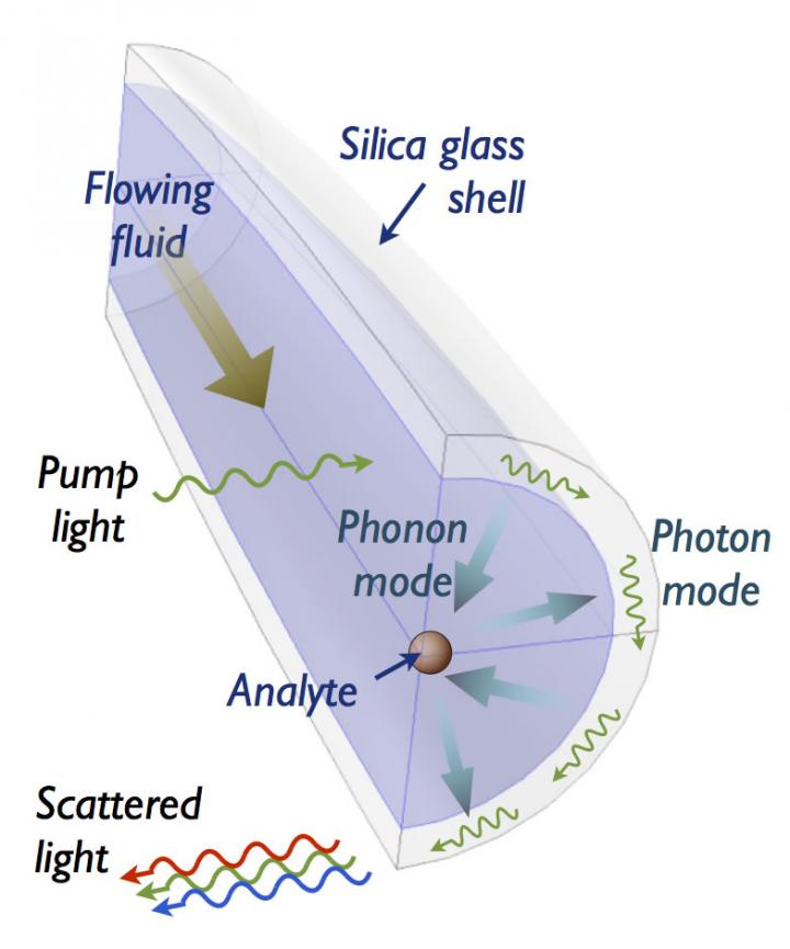 New photonic sensor opens the door to high-speed biodetection | (e ...
